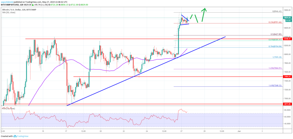 Bitcoin Price Analysis: BTC Surging, Bulls Aim $9,200